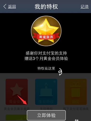 支付宝钻石会员标识图标
