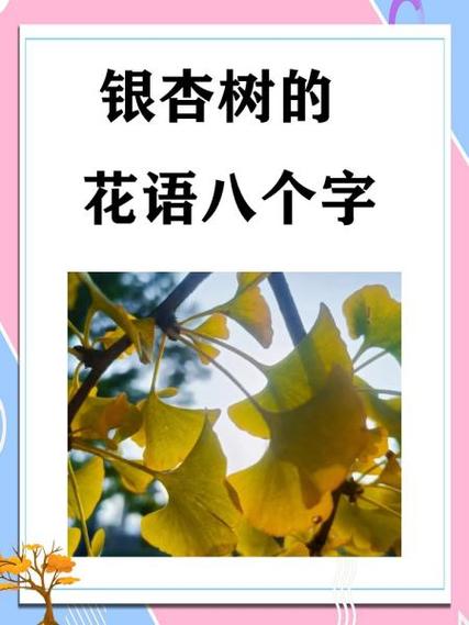 银杏花语大全图标