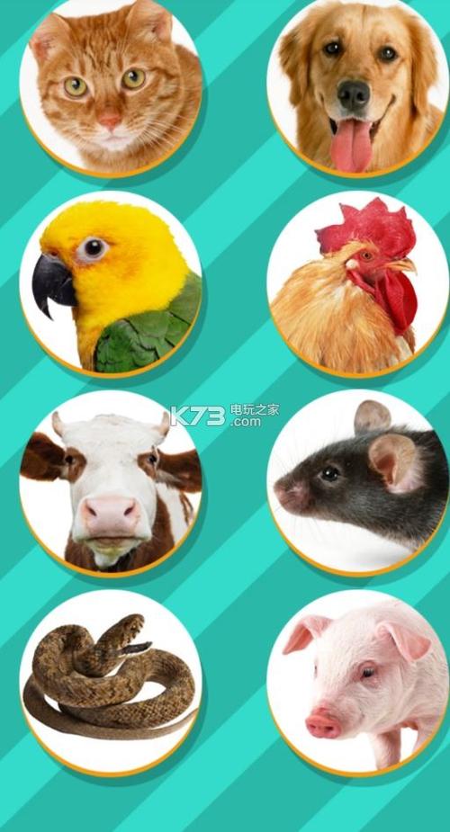可以和仓鼠交流的软件游戏截图