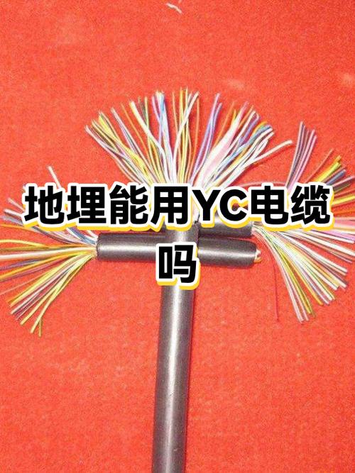yp和yc是什么截图