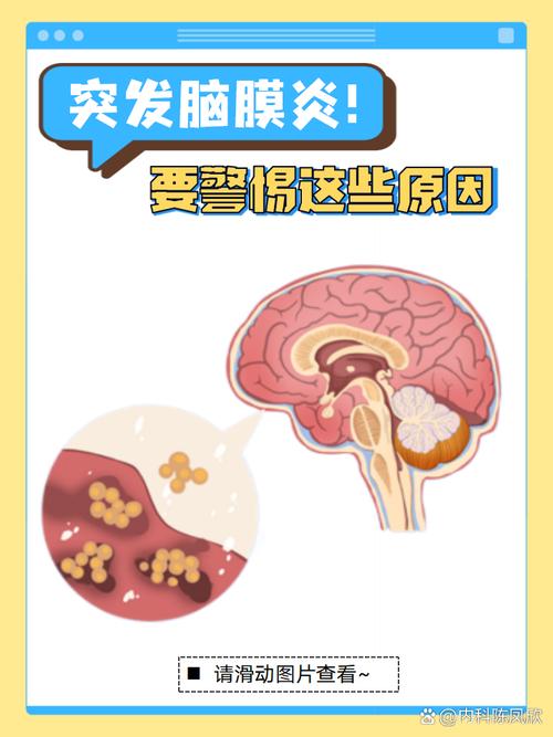 发烧烧脑细胞吗截图