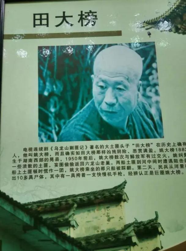 冲天岛总辖大寨主截图