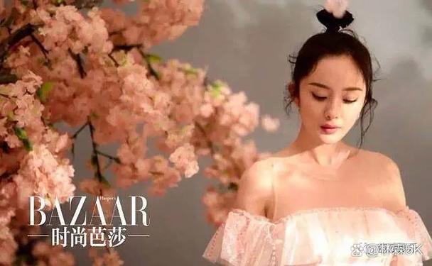 娱乐探险:开局娶杨蜜的小说截图
