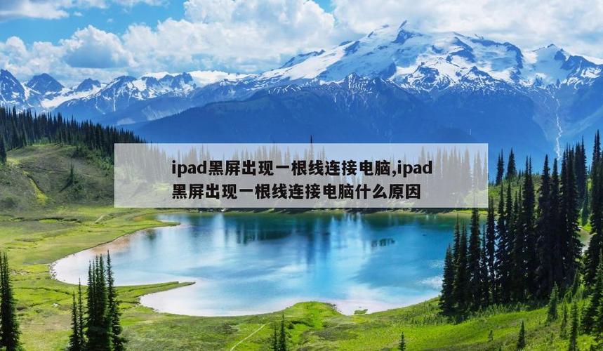 苹果黑屏出现一根线连接电脑图标