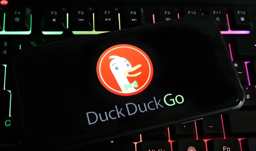 duckduckgo主页截图