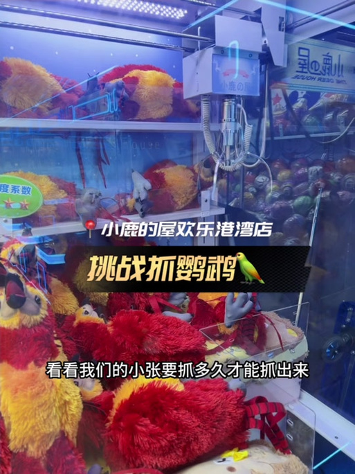 娃娃机抓到鹦鹉视频图标