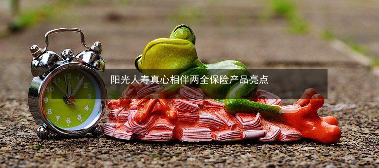 阳光真心相伴两全保险