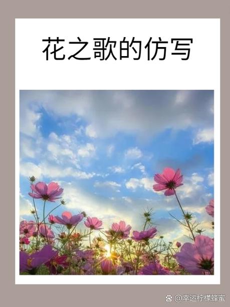 世界上唯一的花日语歌图标