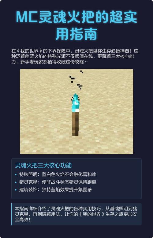 我的世界左手拿火把方法图标