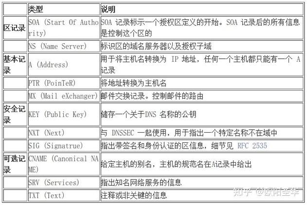 ns网络设置dns缩略图