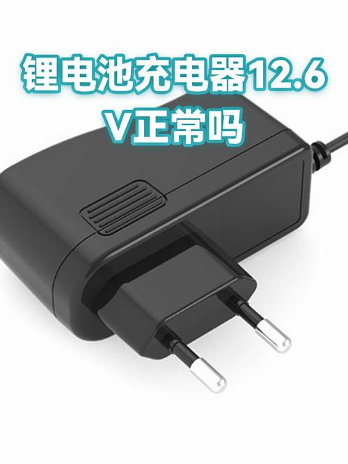 锂电池用手机充电器充电可以吗图标