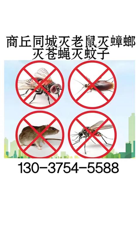 灭鼠公司收费明细图标