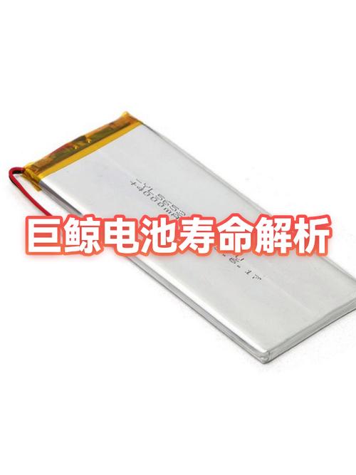 巨鲸电池寿命一般几年图标