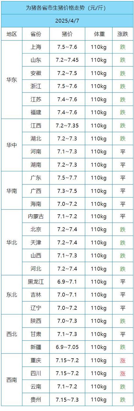 今日猪价今日猪价格表图标