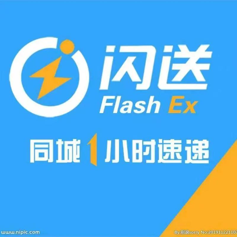 闪送图标