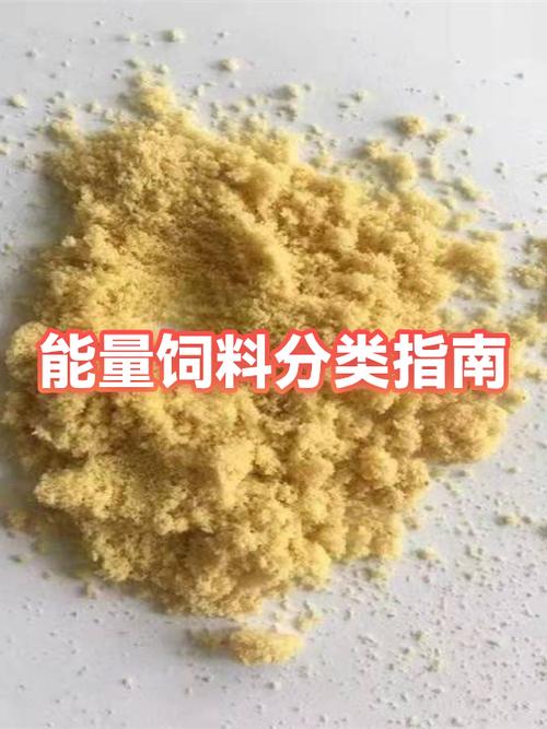 能量分为哪三类游戏截图
