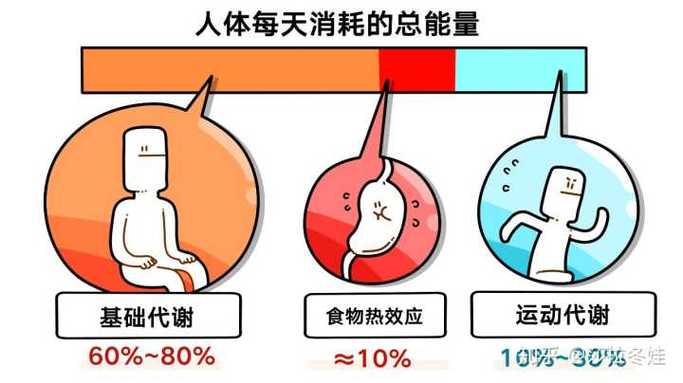 总能量消耗一般多少图标