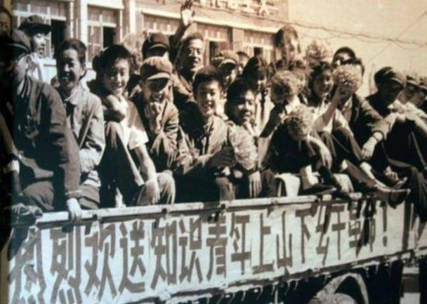 穿越1974下乡知青图标