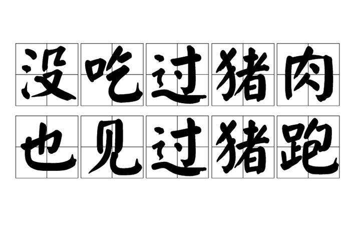 跟猪有关的谚语图标
