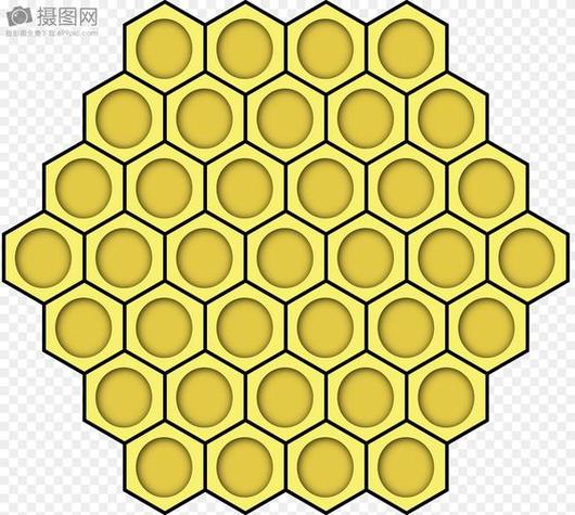 蜜蜂试卷app免费下载图标