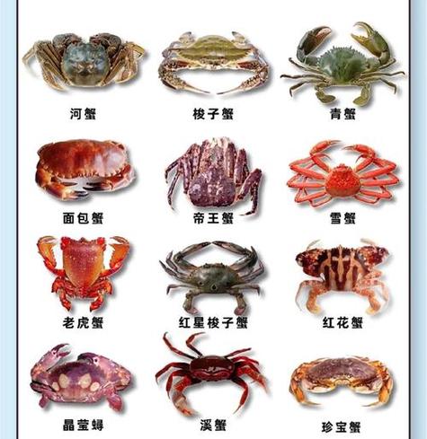 最贵蟹十大排名图标