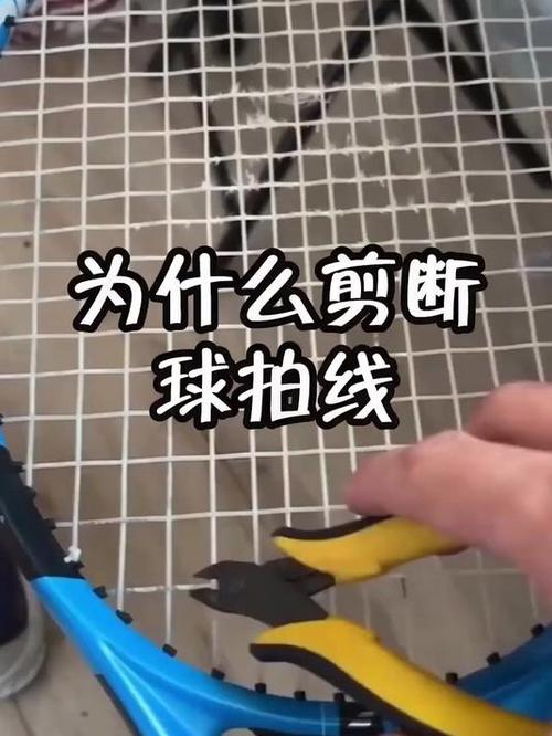 网球拍线断了怎么修补视频截图