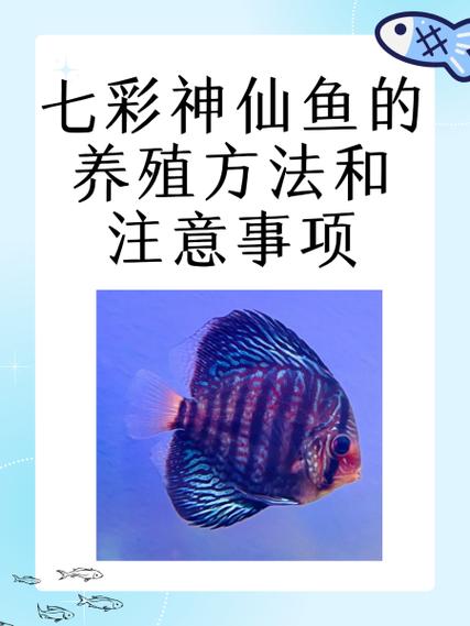 水产养殖供奉哪位神仙截图