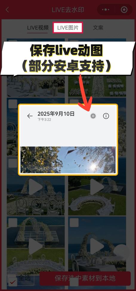 小红书保存图片怎么去水印截图