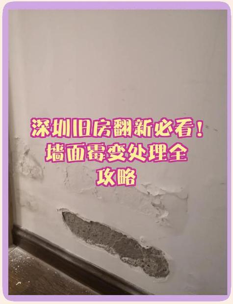 墙面发霉的处理方法图标