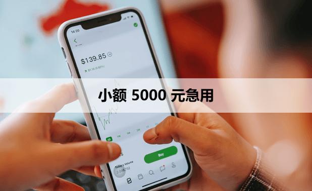 贷款平台小额贷款5000元截图