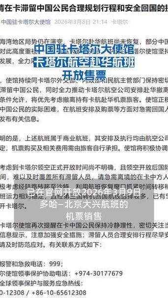 卡塔尔航空app中文版下载截图
