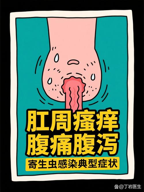 寄生虫从屁股进入女性肚子图标