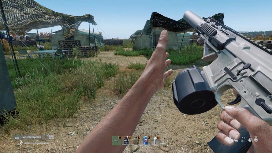 dayz单机模式截图