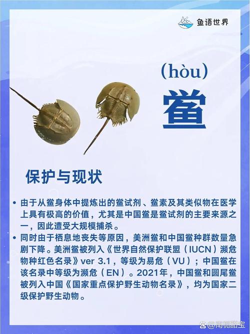 生物识别里面没有指纹图标