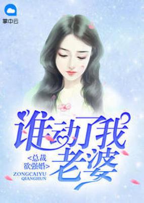 谁动了我的老婆小说全文免费阅读一图标