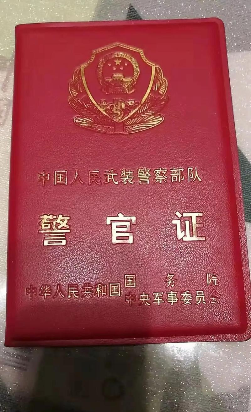 拍卖警察察txt图标