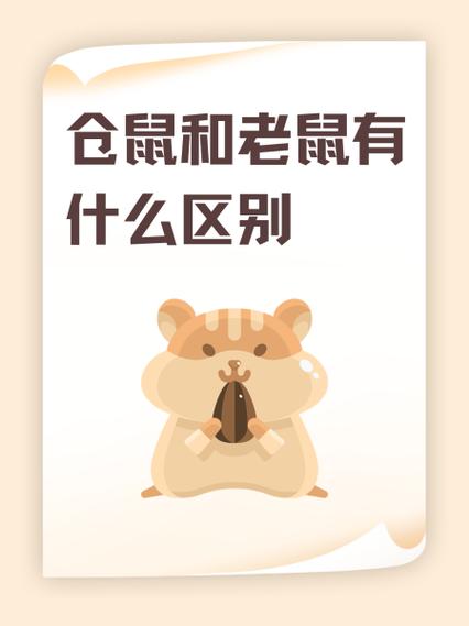 老鼠和仓鼠有区别吗图标