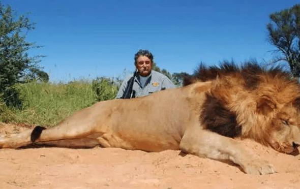 美国富豪非洲打猎被大象踩死截图