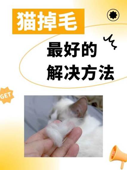 猫掉毛最好的解决办法图标