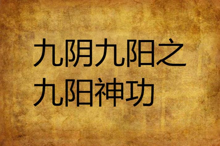 九阴九阳神功免费阅读图标