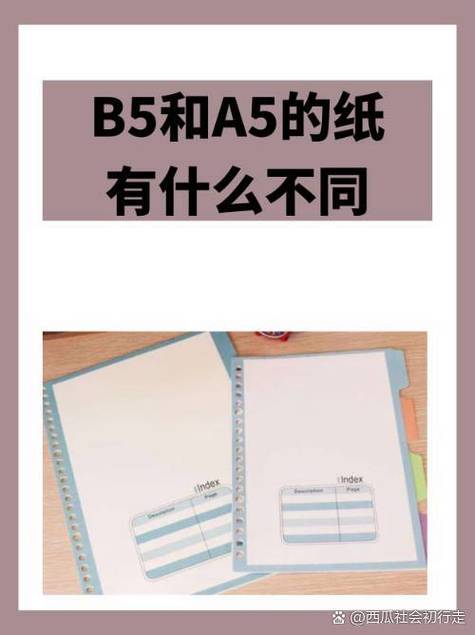 一本是A版好还是B版好截图