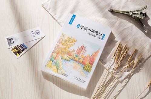 手写笔记学霸小熊笔记图标