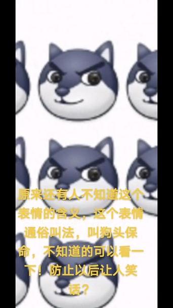 表情符号狗头是什么意思截图