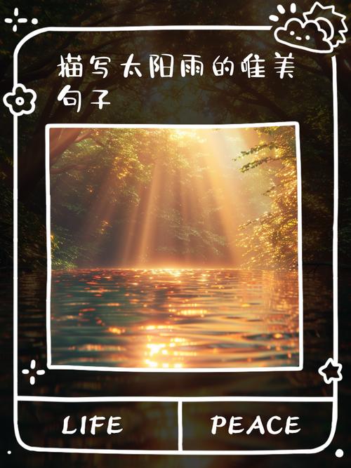 梦见太阳雨好兆头截图