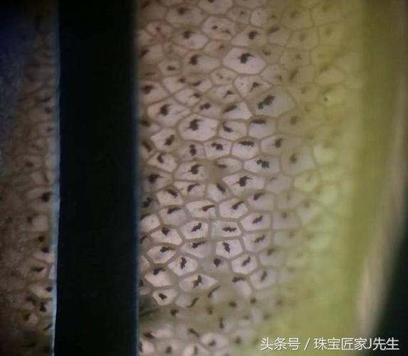 猫眼石真假对照图截图