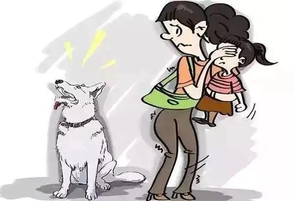 负责的主任动漫