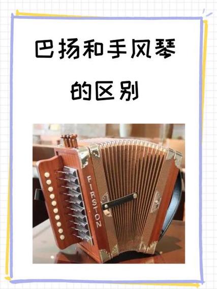 巴扬和手风琴哪个好学图标