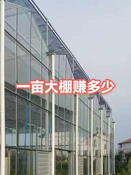 贩卖草莓挣钱吗图标