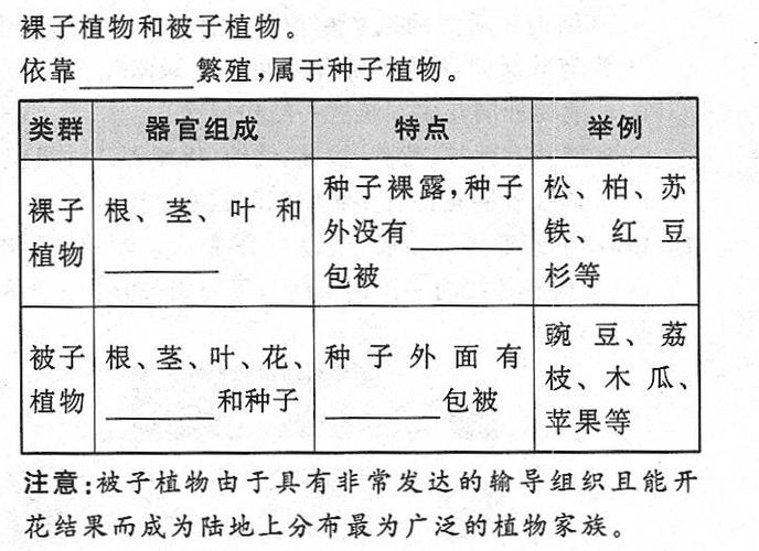 属于植物的繁殖器官有哪些图标