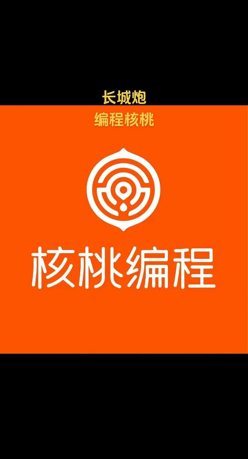 核桃编程官网图标